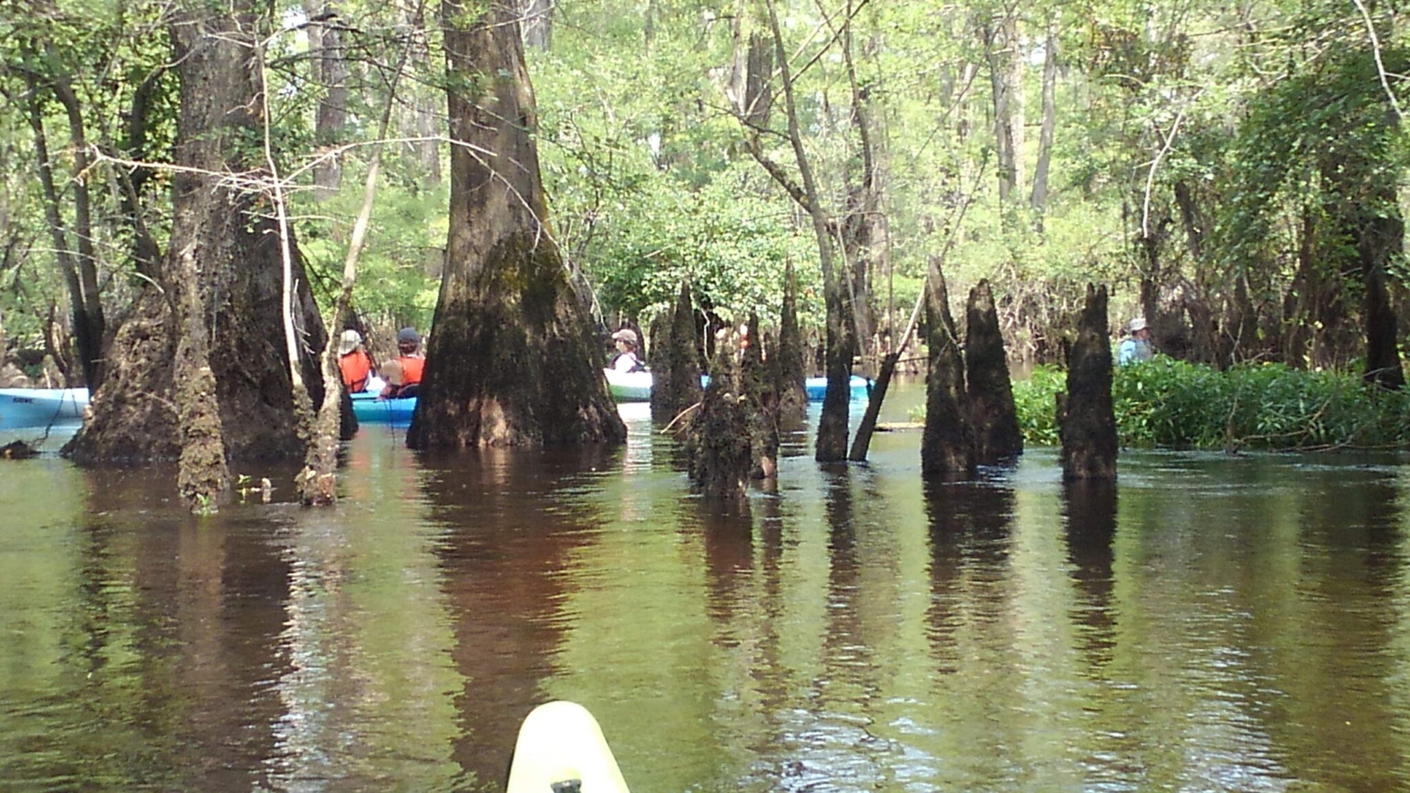 Black River Kayaking | mahanaimadventures.com
