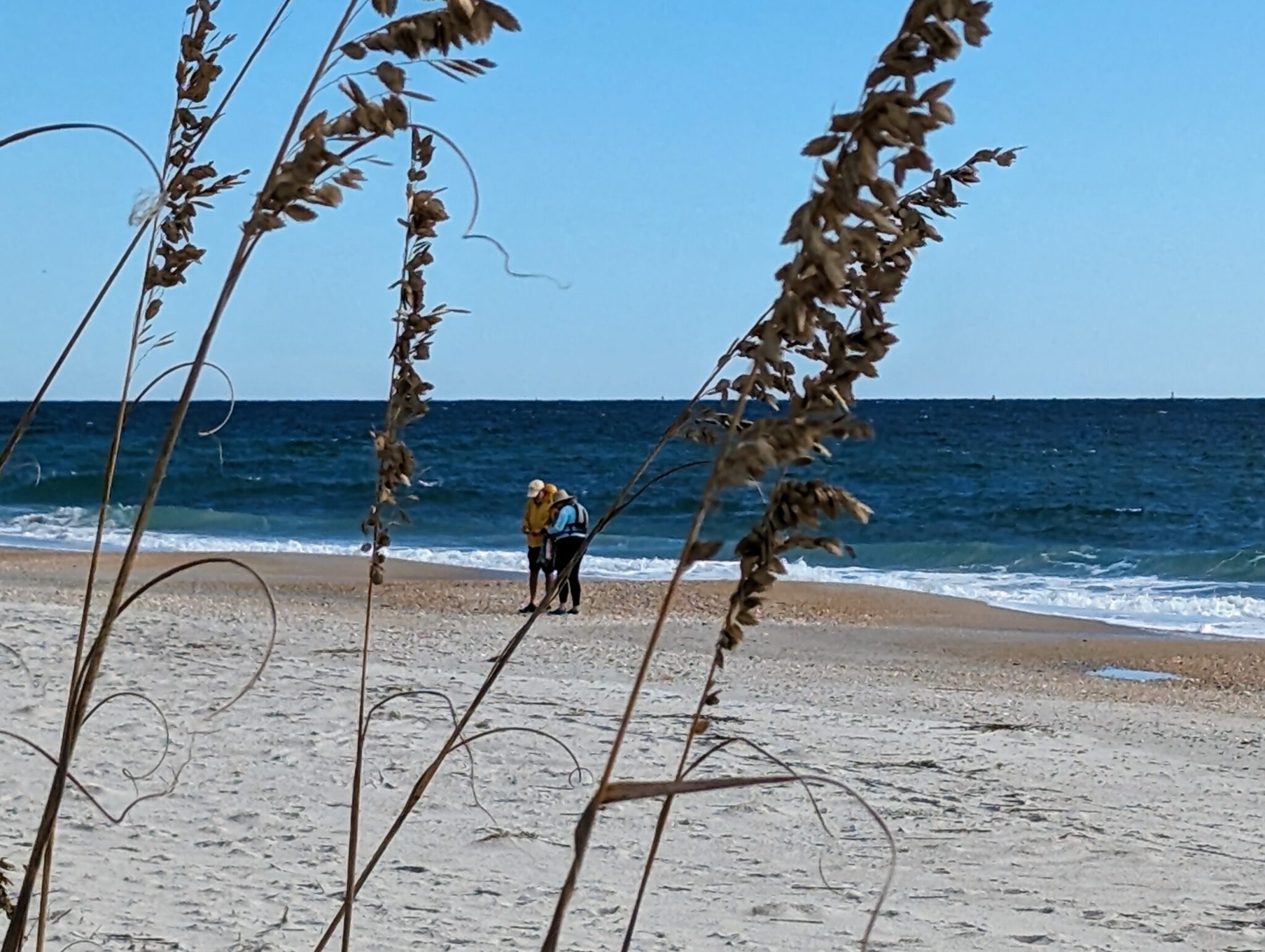 Fort Fisher Basin/Zeke’s Island | mahanaimadventures.com